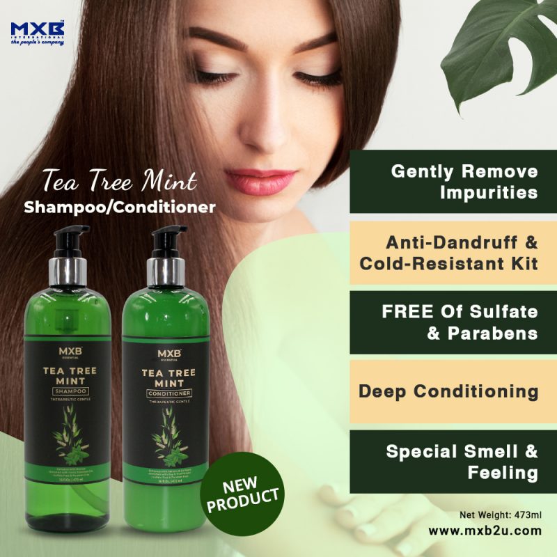 Tea Tree Mint Shampoo & Conditioner Set – MXB
