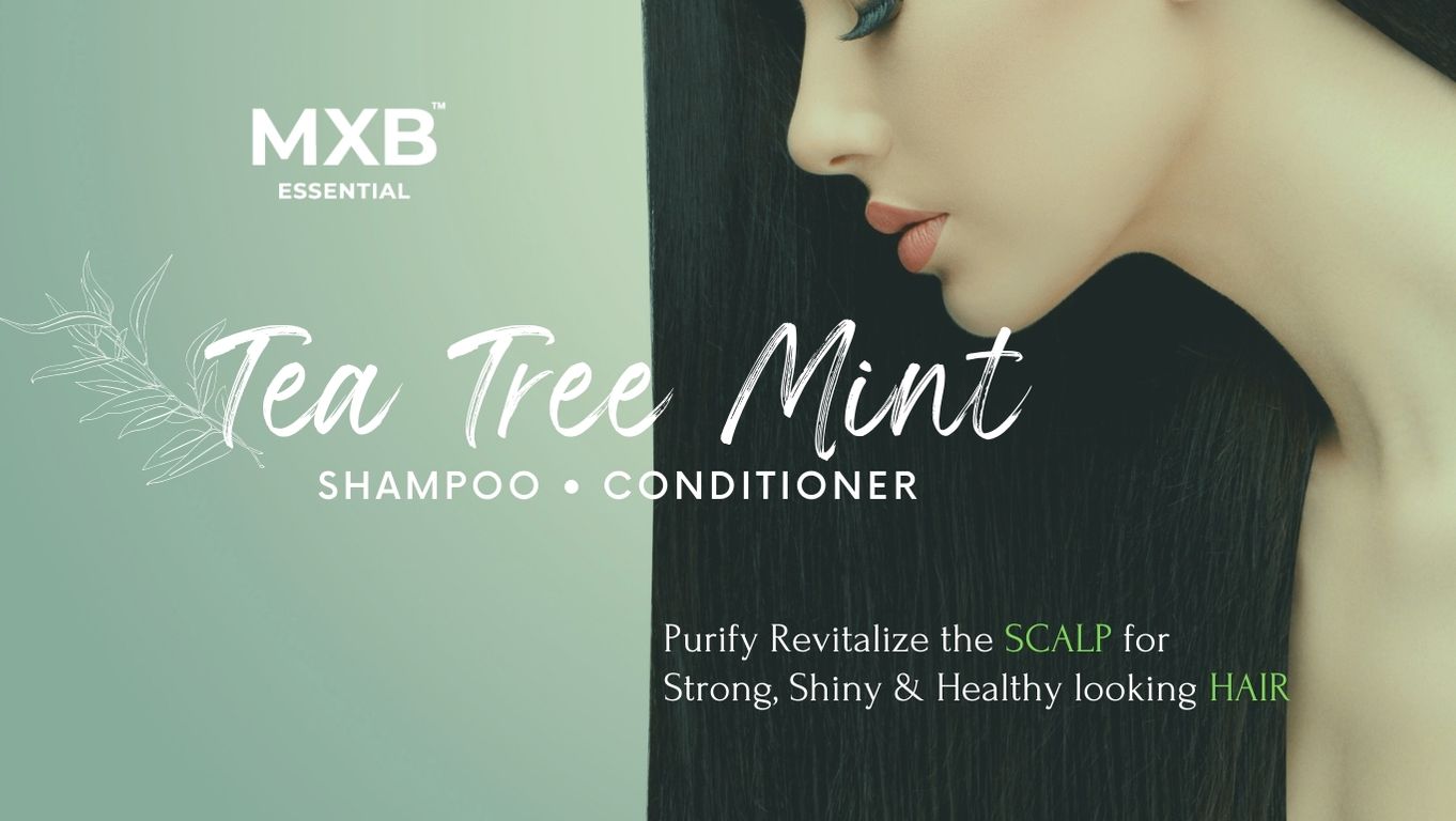 Tea Tree Mint Shampoo & Conditioner Set – MXB