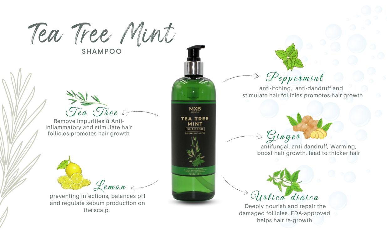 Tea Tree Mint Shampoo & Conditioner Set – MXB